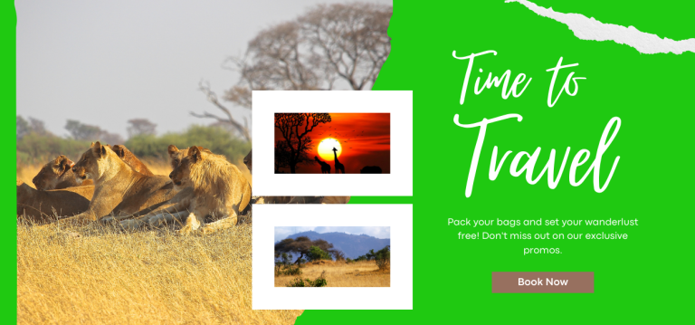 Axe Adventures – Kenya's Best Tours and Travel Agency for Coastal Deals ...